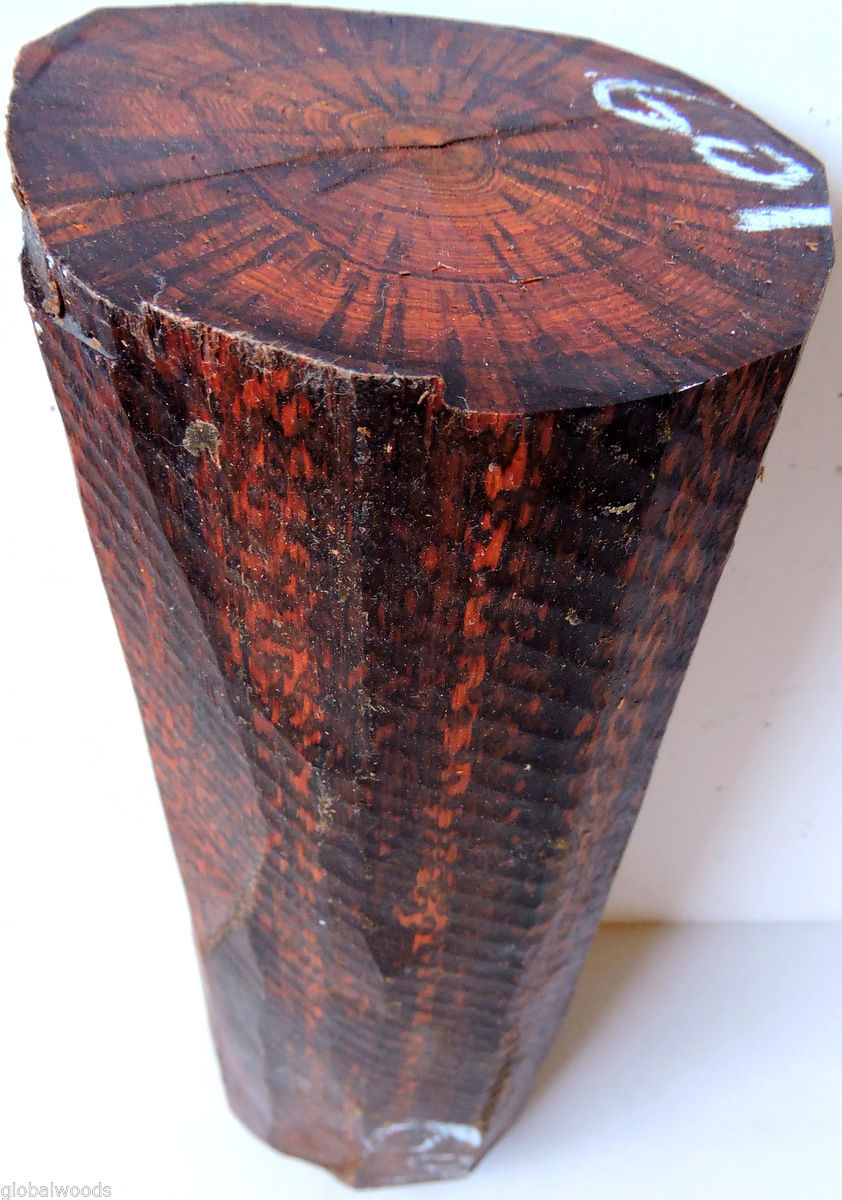 Snakewood Log Lumber 10x4 Bowl Lathe Turning Peppermills Guitar Parts ...