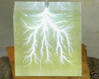 BertHickman1 : Rare "Captured Lightning" Lichtenberg Figure Sculpture