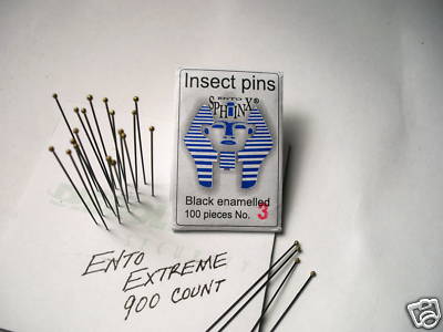 Flutterbugz : ENTOMOLOGY BUG and BUTTERFLY INSECT MOUNTING PINS 100pc
