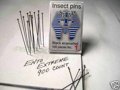Flutterbugz : ENTOMOLOGY BUG and BUTTERFLY INSECT MOUNTING PINS 100pc