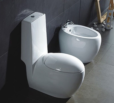 Baday Toilet