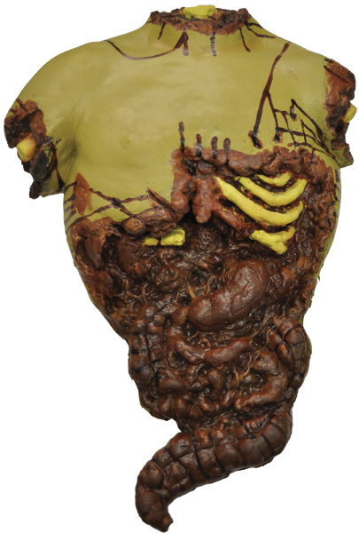 Half Torso Chest, Kellies Shop