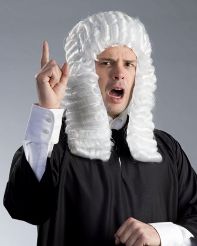 Judge English Colonial Parliament White 1870 Enigma Costume Wig | eBay