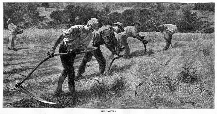 MEN MOWING FIELD WITH SCYTHE 1875 FIELD FARM WORK LABOR ANTIQUE ...
