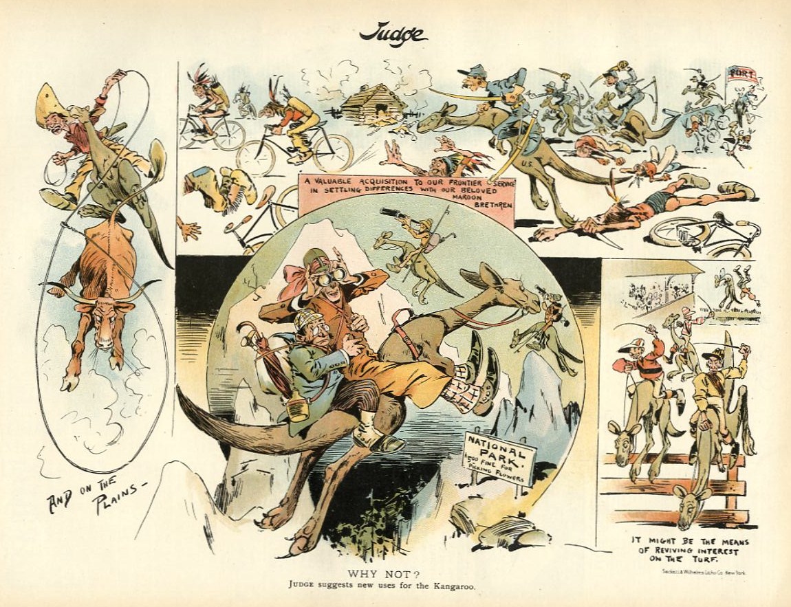 RIP Roger, an absolute unit of a roo : r/AbsoluteUnits